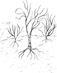 Dead Tree Vector Images (over 9,400)