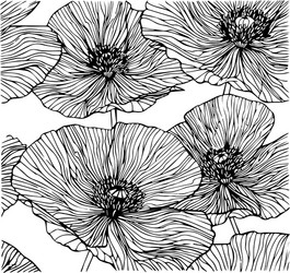Poppy Vector Images (over 21,000)