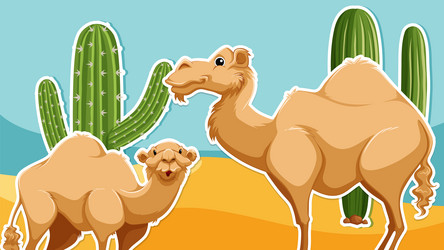 Camels In The Desert Clipart