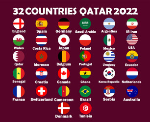 32 countries flag emblem groups symbol design Vector Image