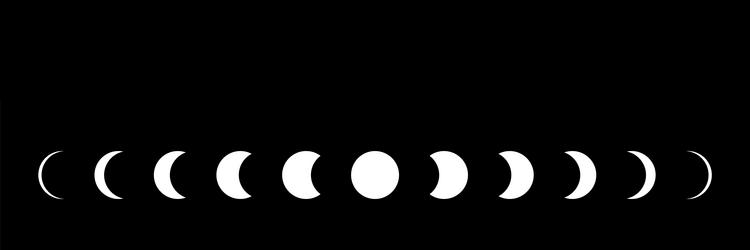 Moon phase crescent half cycle shape Royalty Free Vector