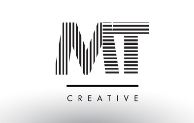 Creative white letters mt m t logo with leading Vector Image