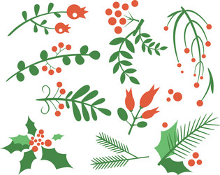 Set various winter plants and berries Royalty Free Vector