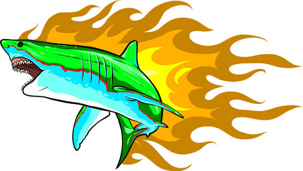 Danger shark with flames fon black background Vector Image