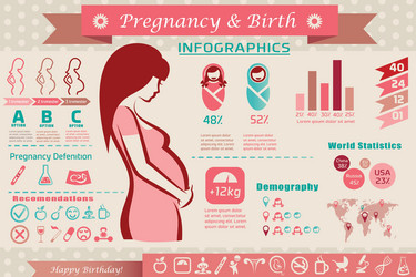 Pregnancy and birth infographics icon set Vector Image