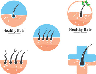 Chef cassava root on the plate cartoon Royalty Free Vector