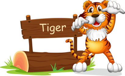 Yellow tiger signboard Royalty Free Vector Image