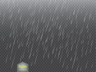 Rain Royalty Free Vector Image - VectorStock