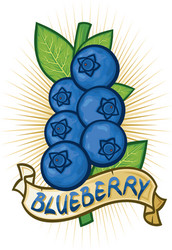 Blueberries Royalty Free Vector Image - VectorStock