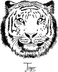 Tiger Outline Vector Images (over 8,800)