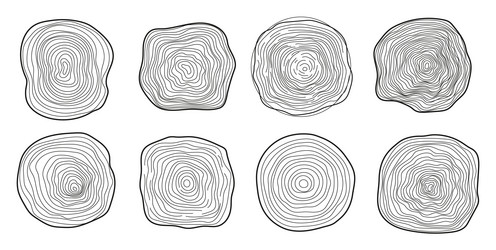 Tree trunk cuts in hand drawn sketch bark Vector Image