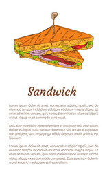 Sandwiches Royalty Free Vector Image - VectorStock