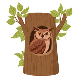 Cartoon owl sitting in tree hollow forest Vector Image