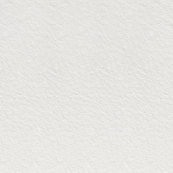 Light white paper with many different curves Vector Image