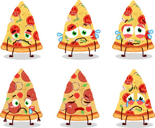 Fat Pizza Chef Vector Images (96)