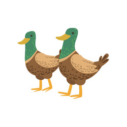 Ducks Walking Vector Images (over 1,200)