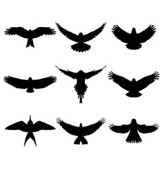 Birds Vector Images (over 510,000)