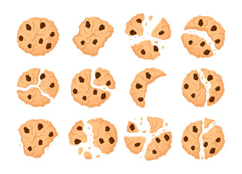 Cartoon cookie crumbs chocolate chip vanilla Vector Image