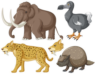 Collection of extinct animals Royalty Free Vector Image