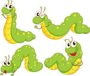 A green worm Royalty Free Vector Image - VectorStock