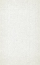 Light white paper with many different curves Vector Image