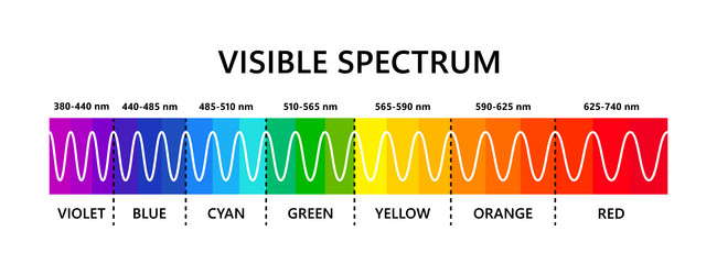 Visible light spectrum infared and ultraviolet Vector Image