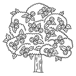 Almond tree fruit plant isolated coloring page Vector Image