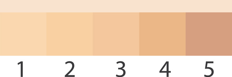 Skin color palette level icon Royalty Free Vector Image