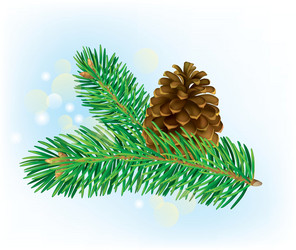Pine cone with a branch spruce needles isolated Vector Image