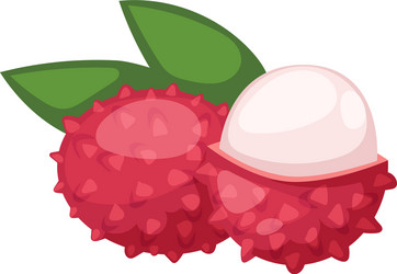 Cute cartoon happy two pink fruit lychees Vector Image