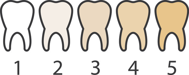 Tooth Draw Vector Images (over 9,500)