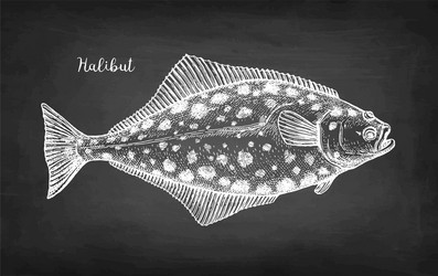 Halibut Vector Images (over 280)