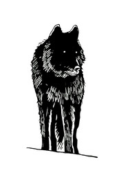 Hand Shadows Wolf Vector Images (70)