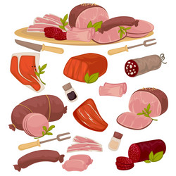 Set of different kinds meat Royalty Free Vector Image