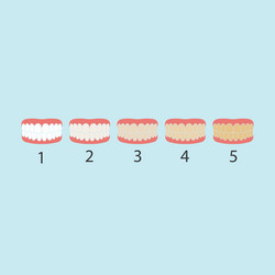 Tooth Numbering Vector Images (over 1,000)