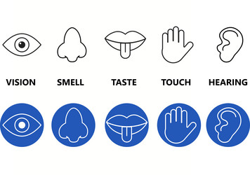 Five Senses Sight Vector Images (over 350)
