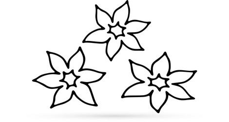 Doodle flower badian kids hand drawing Royalty Free Vector