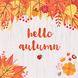 Autumn horizontal banner with fall colorful plants
