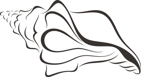 Shell Outline Vector Images (über 21,000)