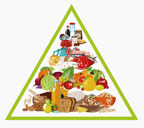 Food pyramid chart Royalty Free Vector Image - VectorStock