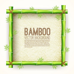 Border template with bamboo trees Royalty Free Vector Image