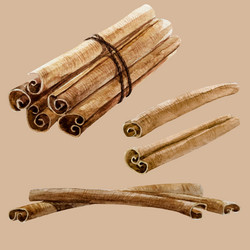 Cinnamon Vector Images (over 20,000)