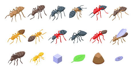 Ant Vector Images (over 13,000)