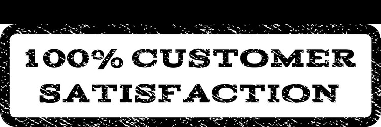 100 percent customer satisfaction percent Vector Image