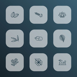 Palm Kernel Vector Images (over 110)