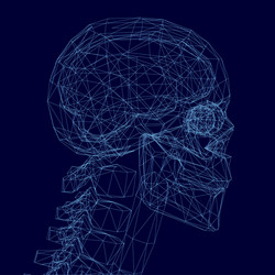 Wireframe Human Face Vector Images (over 760)