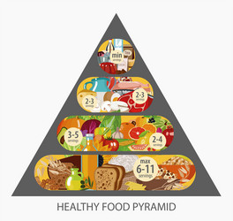 Healthy foods pyramid Royalty Free Vector Image