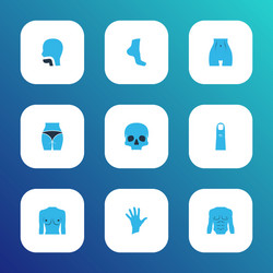 Physique icons colored set with foot chest face Vector Image