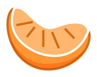 Slice of mandarin orange or citrus fruit Vector Image
