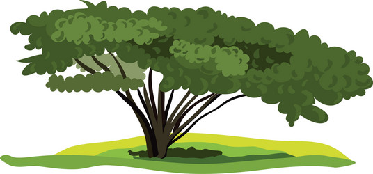 Tree Stem Vector Images (over 32,000)